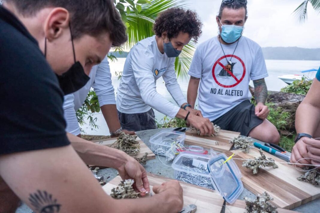 Coralmania: Celebrating Coral Reef Restoration in Costa Rica