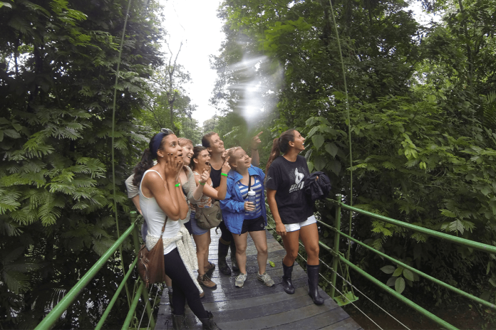 Universidad Veritas and Alamo District Colleges create Symbiosis: the ...