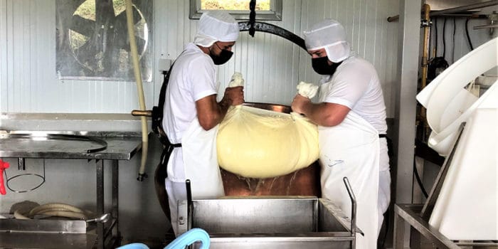 Visit Costa Rica for the Cheese? A Cheese Lovers Alert : The Tico Times ...