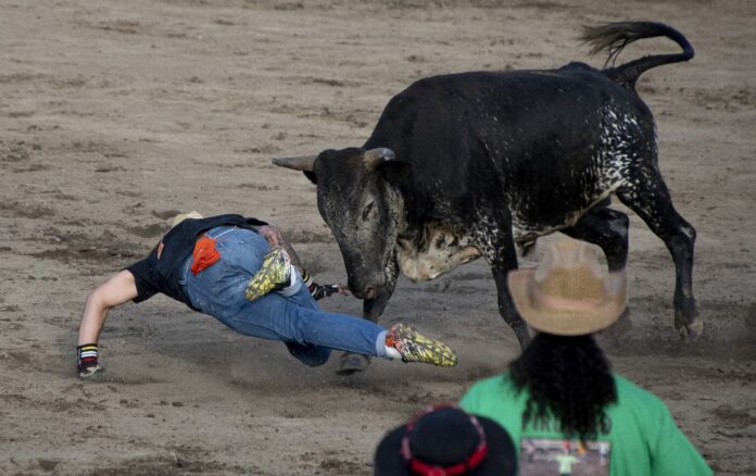 Costa Rica Bullfighting: "Toros a la Tica" : The Tico Times | Costa ...
