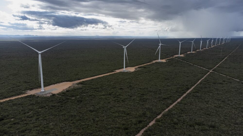 Threat to Endangered Macaws in Brazilian Wind Farm