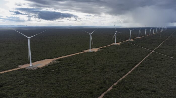 Threat to Endangered Macaws in Brazilian Wind Farm