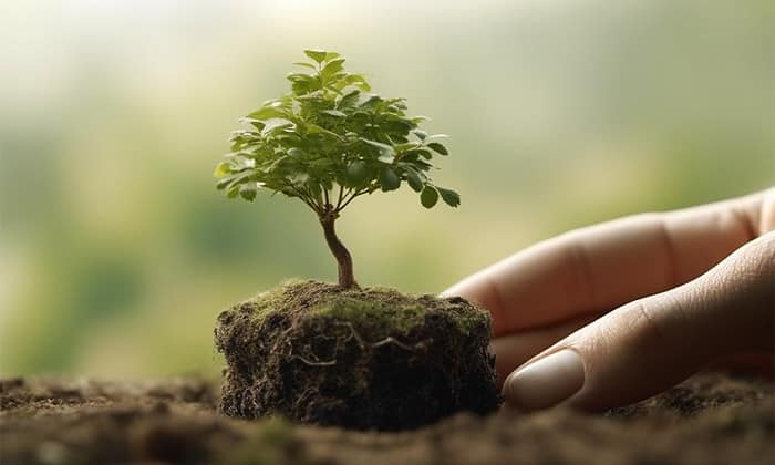 Carbon Neutral Pledges: Are Companies Walking the Talk? : The Tico ...