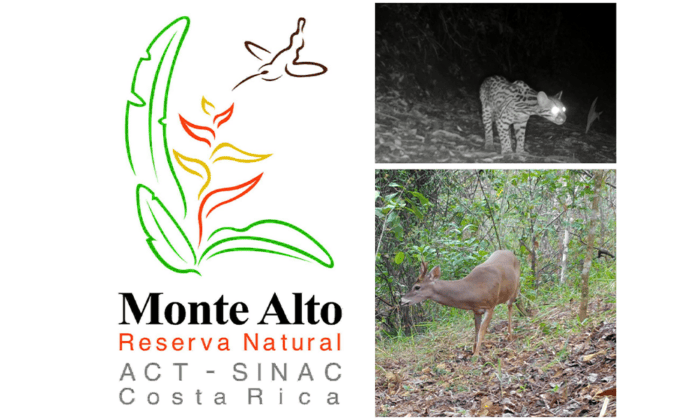 Escape the Heat in Costa Rica's Monte Alto Nature Reserve : The Tico ...