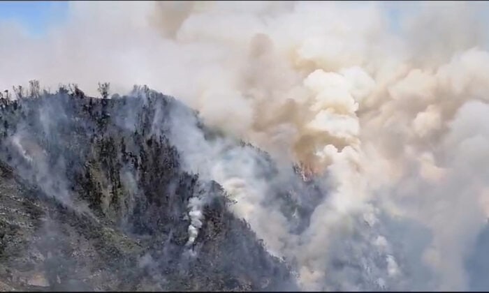 Costa Rica's Turrialba Volcano National Park Fire Prompts Emergency ...