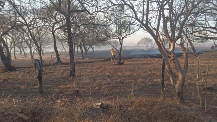 Forest Fire Rages in Costa Rica's Lomas de Barbudal Biological Reserve
