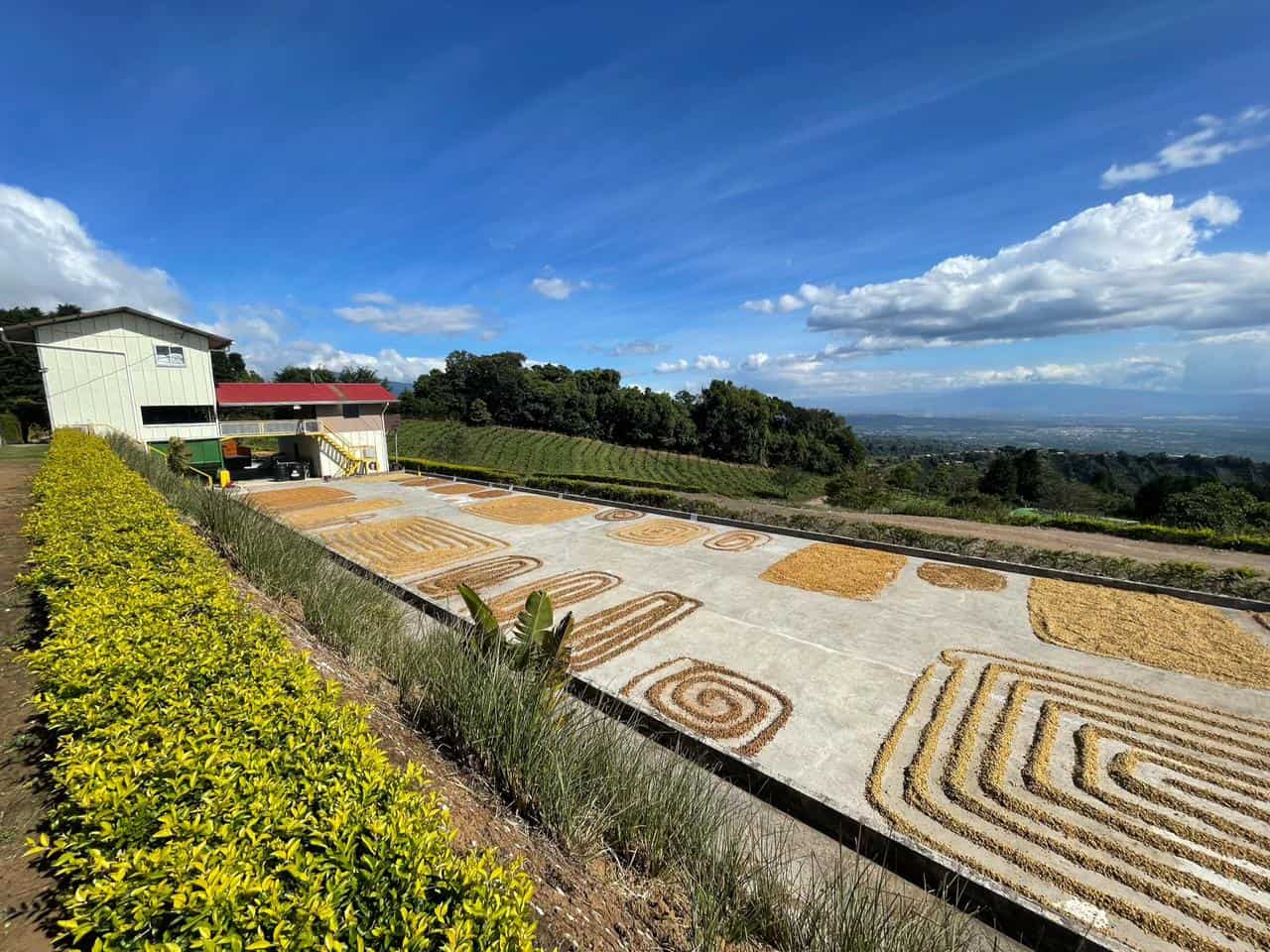 Discover Biesanz Woodworks: Where Craftsmanship Meets Nature in Escazú