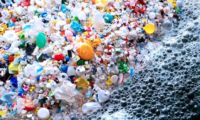 Costa Rica Studies Find Microplastics in Beaches, Fish, Livestock and ...