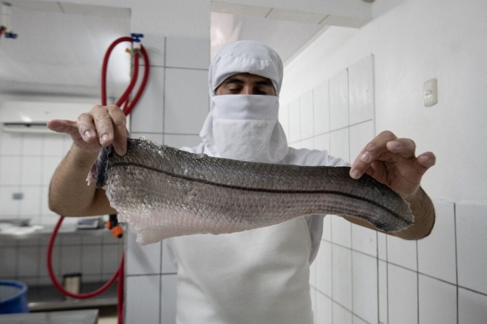 Costa Rican Women Turn Fish Skin into Sustainable Leather