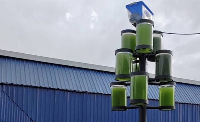 Costa Rica’s Liquid Trees: A New Approach to Climate Action