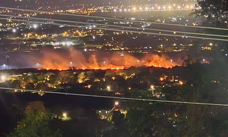 Costa Rica Fire at Lorne Ross Park Sparks Political Clash Over Conservation