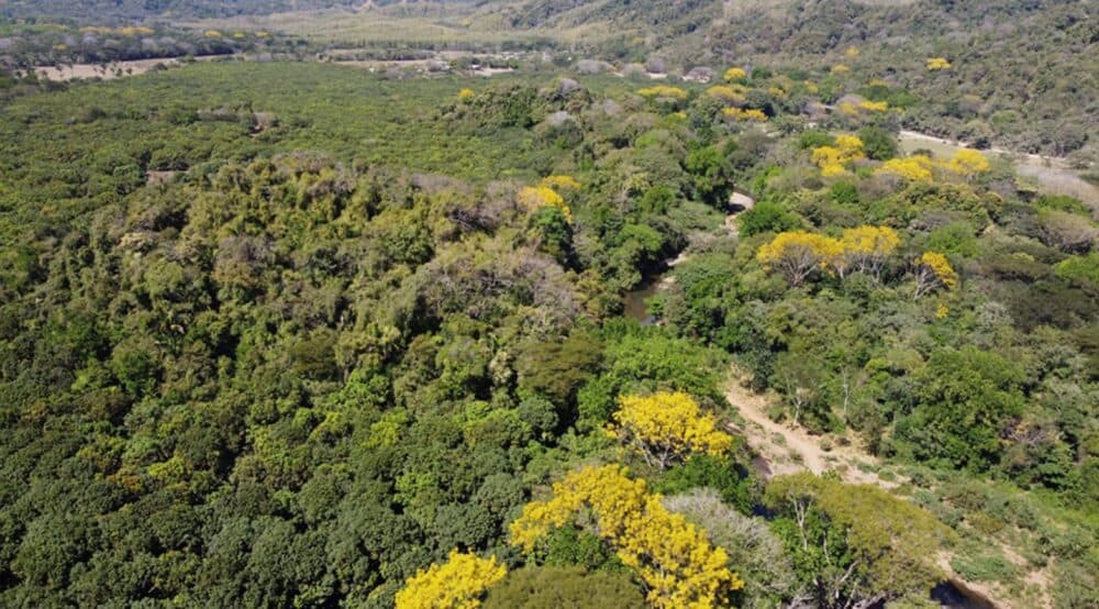 Nosara Landowners Build Costa Rica’s First Voluntary Biological Corridor